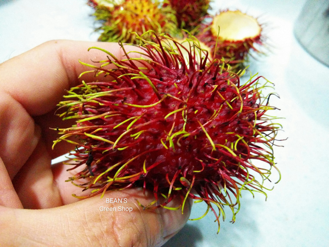 R191 1 — Postimages