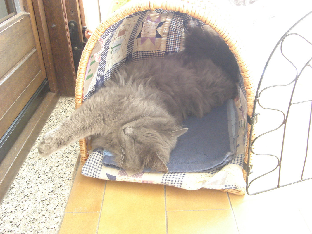 DSC00729 — Postimages