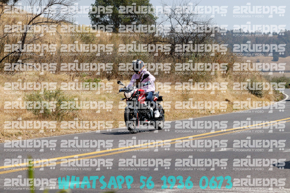 MG 0807 — Postimages