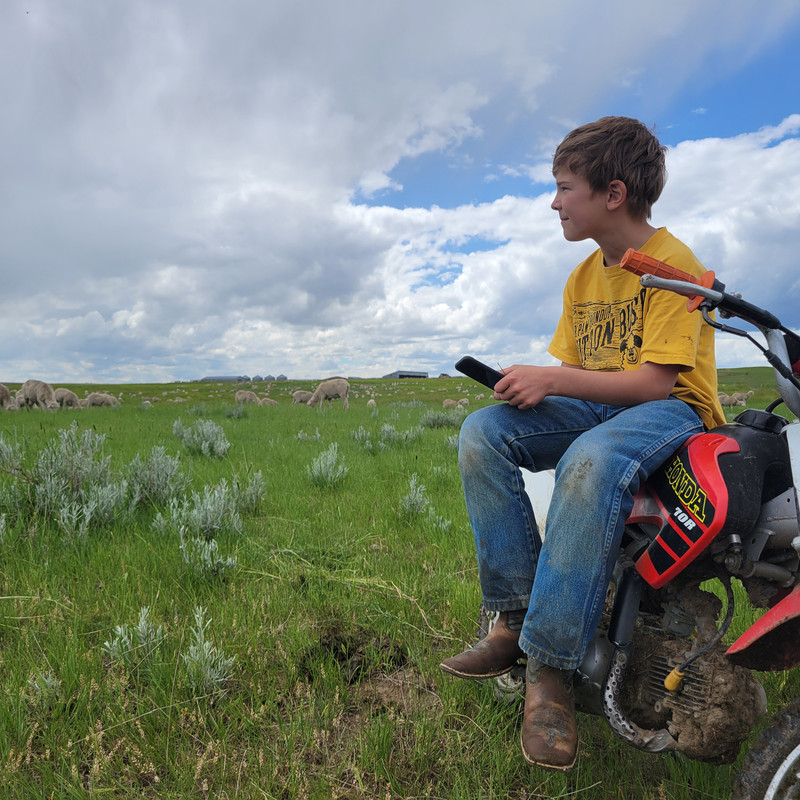 20240619 141946 — Postimages