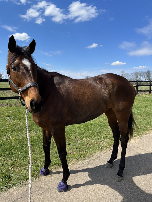 IMG 8548 — Postimages