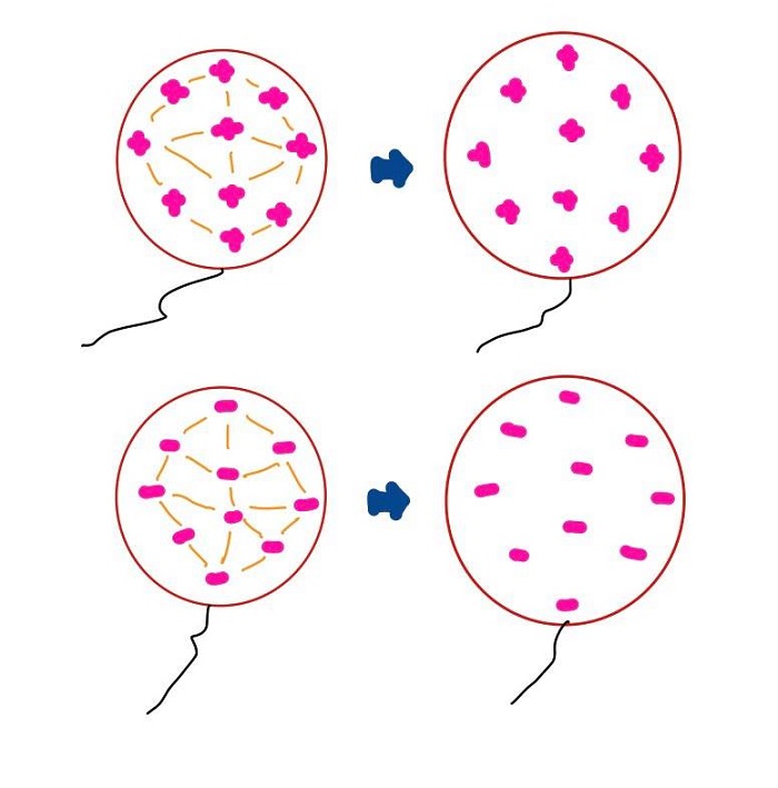 A spherical balloon is initially uncharged. If you spread po | Quizlet