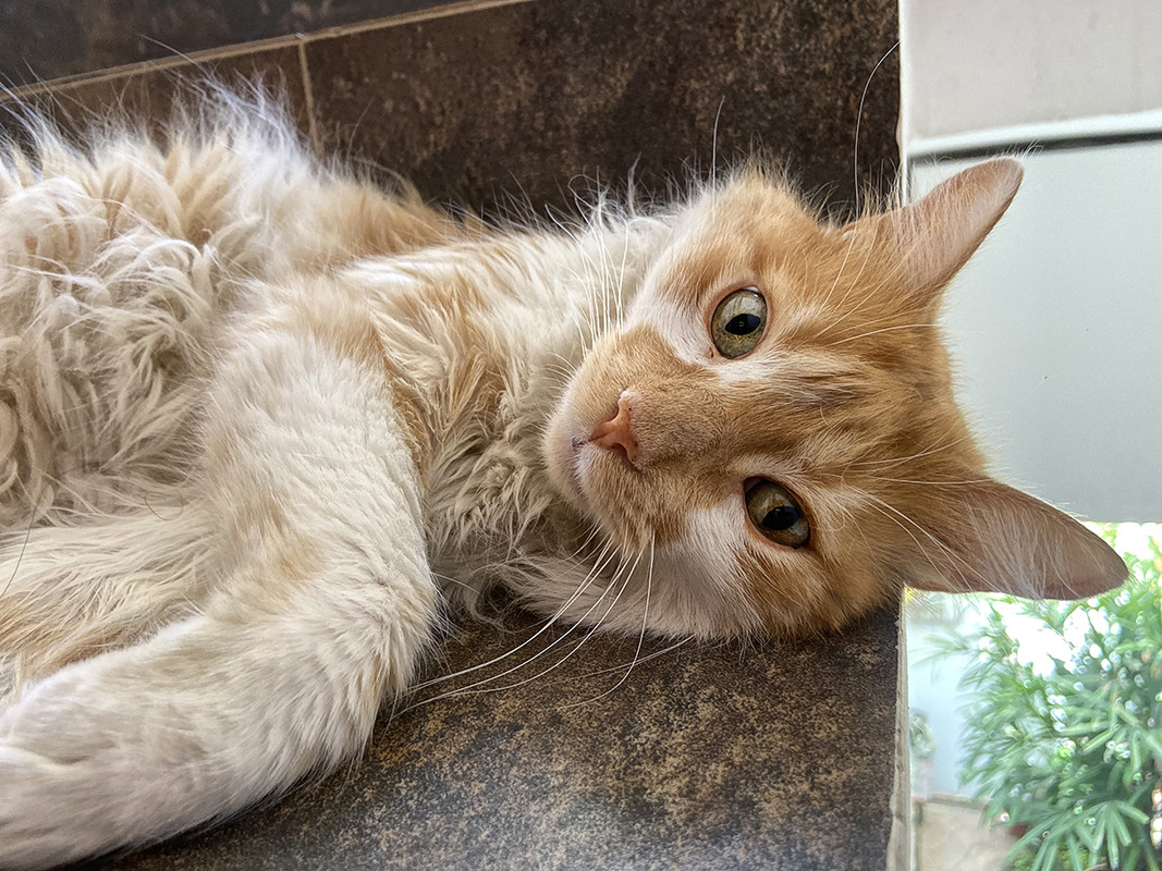 IMG 3574 — Postimages