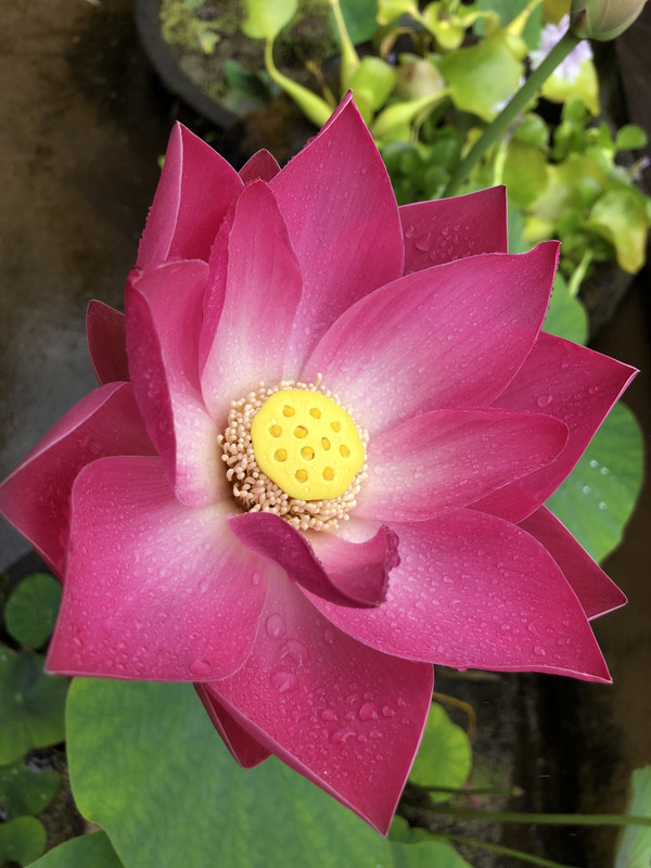 A0 A059 FB 3057 44 B8 AC4 A E394559 EE3 FC — Postimages