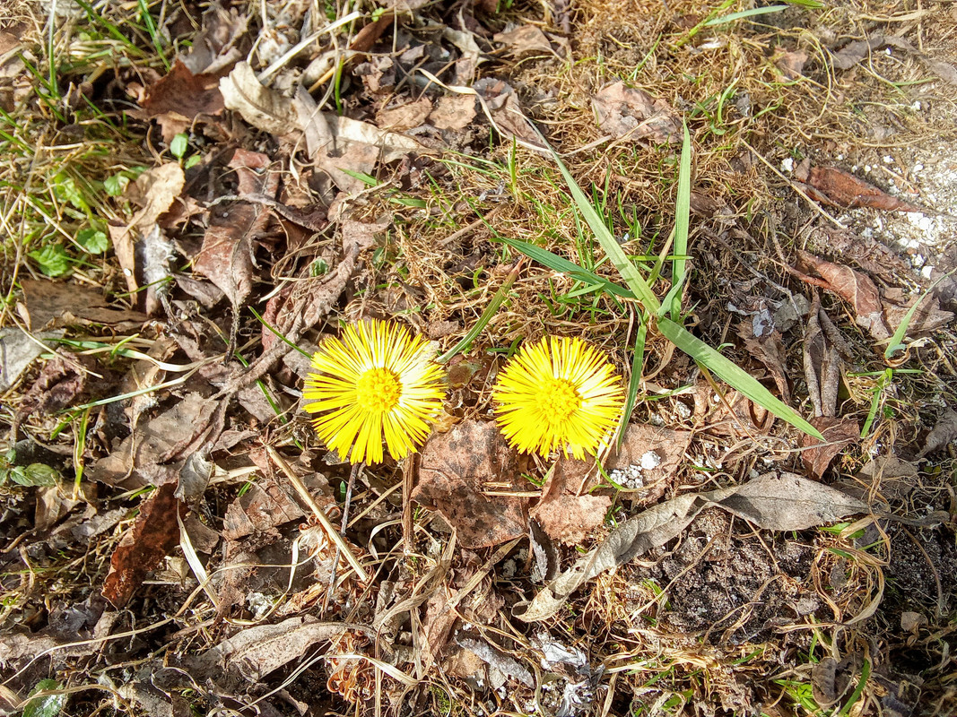 IMG 20240422 093458 2 — Postimages