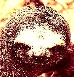 PJ00s+ 81: Now With Extra Flops! (results complete) | Page 6 | The ...