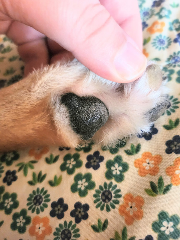 20230926 163348 — Postimages