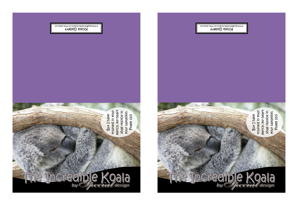 PGFE Koala Photo Note Cards5 A4 — Postimages