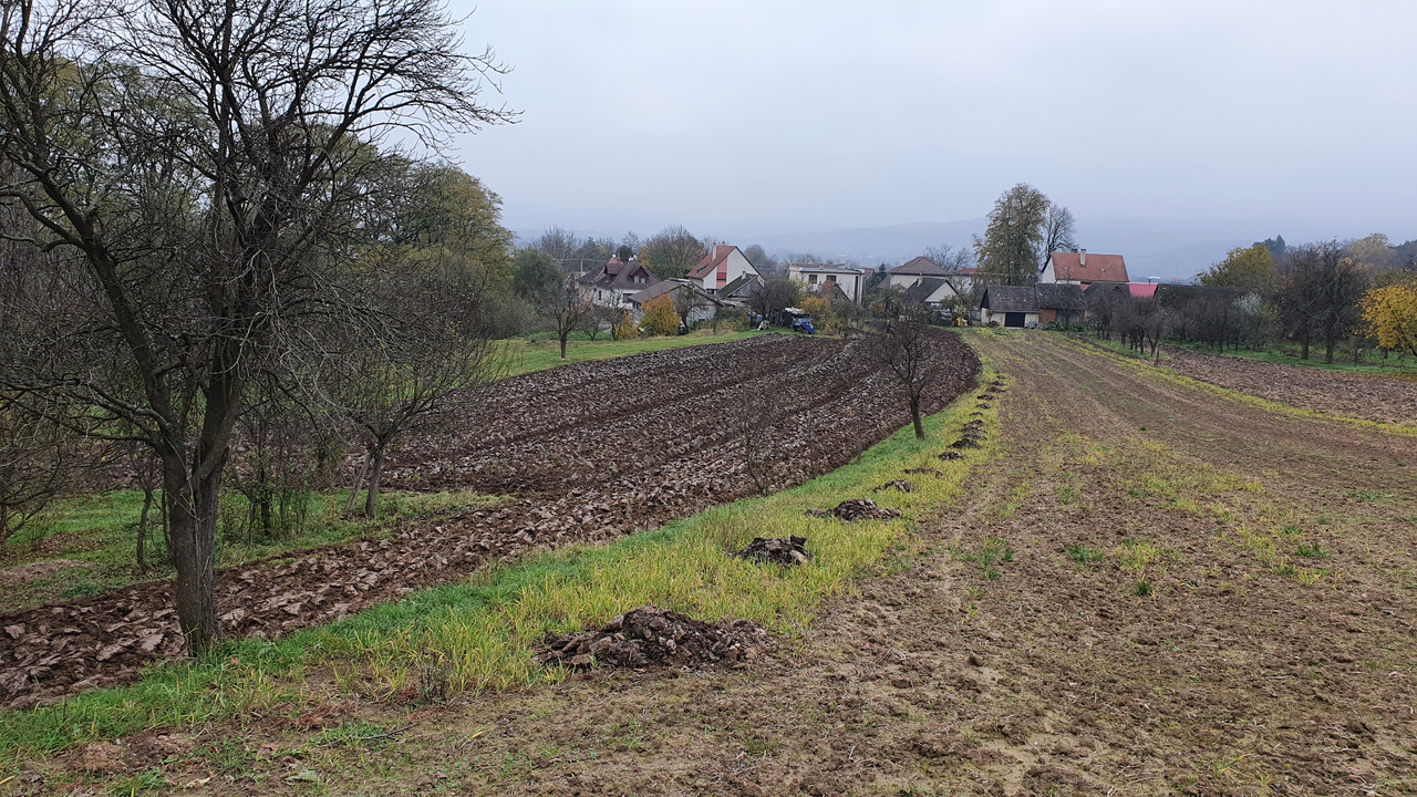 20201110 145528 — Postimages