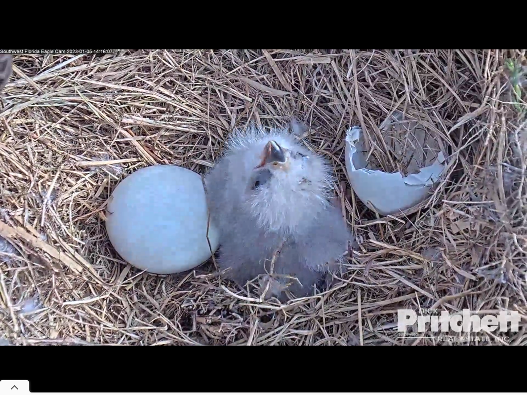 D4 AD9 BB5 291 C 491 D BA16 B29 F3 E26607 A — Postimages