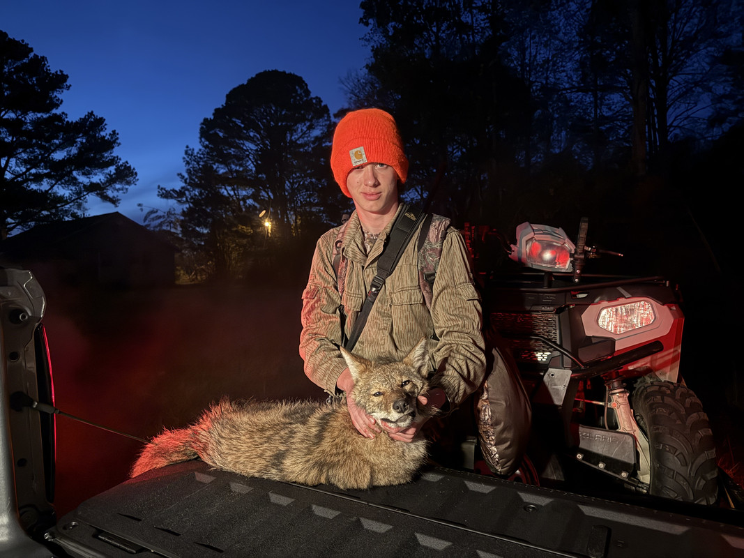 IMG 1889 — Postimages