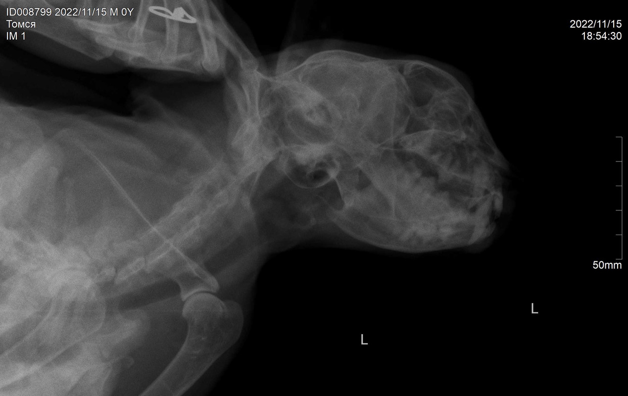 1 FE69 FFE 9167 4 D28 8151 4 E848 FD58 E41 — Postimages