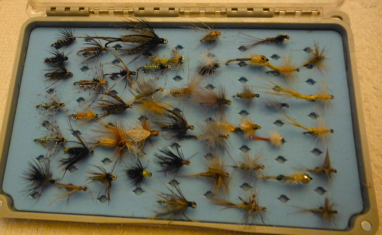 DSCF8062 — Postimages