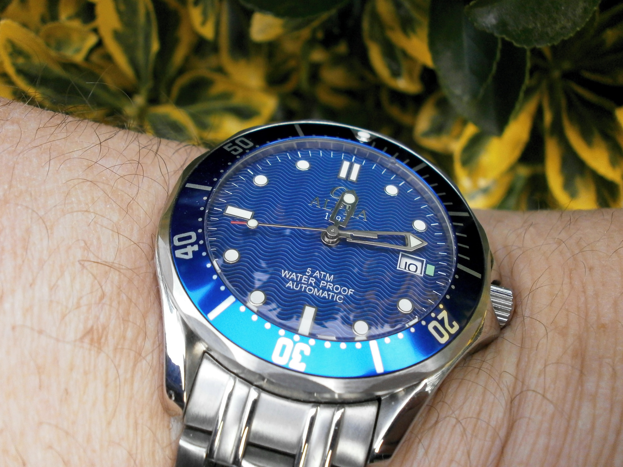 Alpha Seamaster DSM3182 3 — Postimages