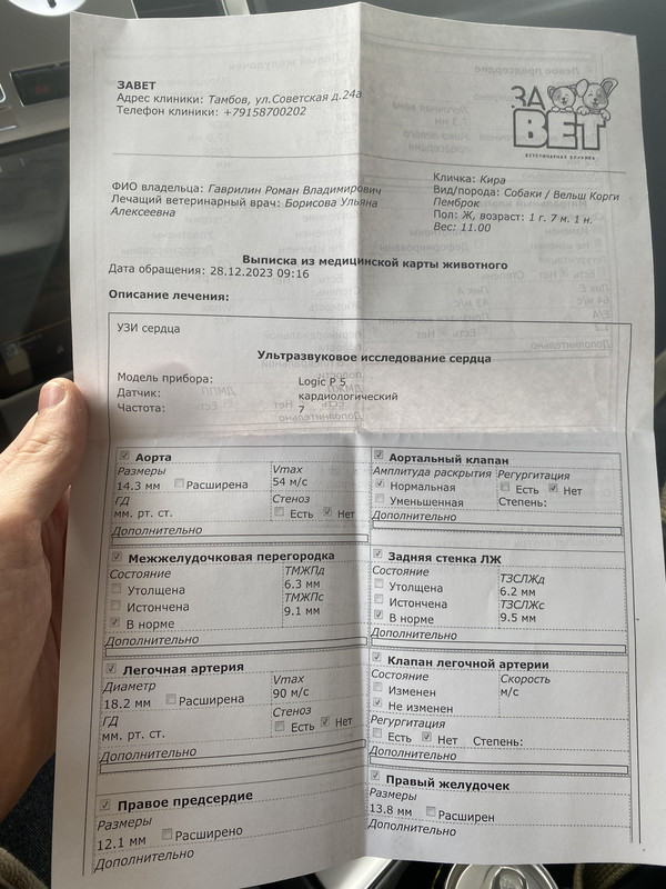 IMG 0746 — Postimages