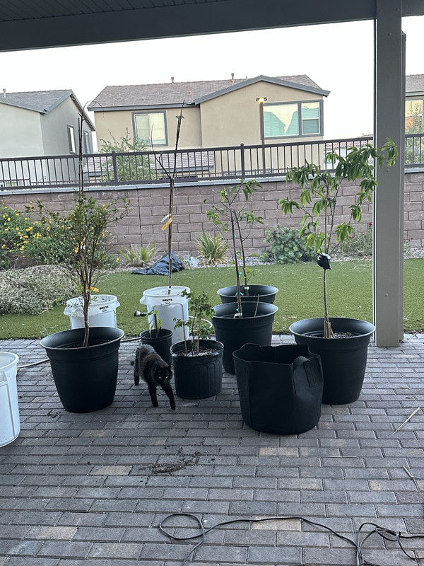 IMG 2001 — Postimages