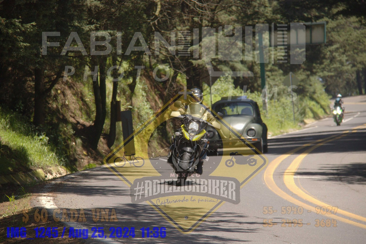 IMG 1245 — Postimages