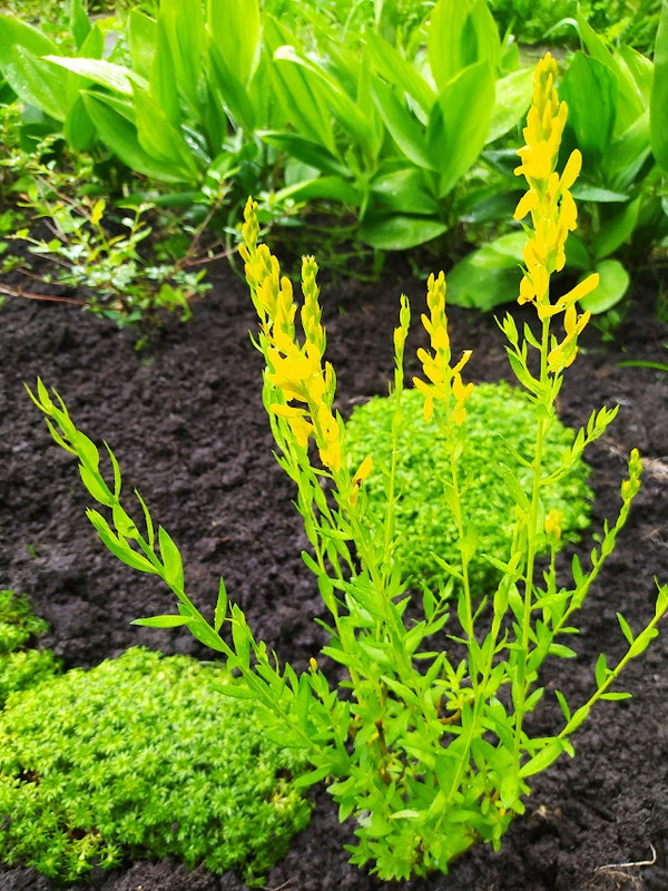 IMG 20230729 131936 — Postimages