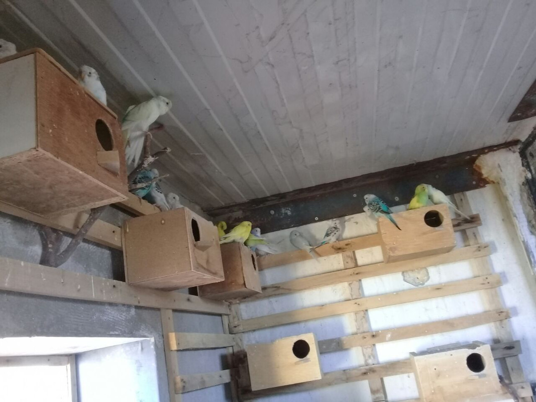 IMG 20180422 WA0004 — Postimages