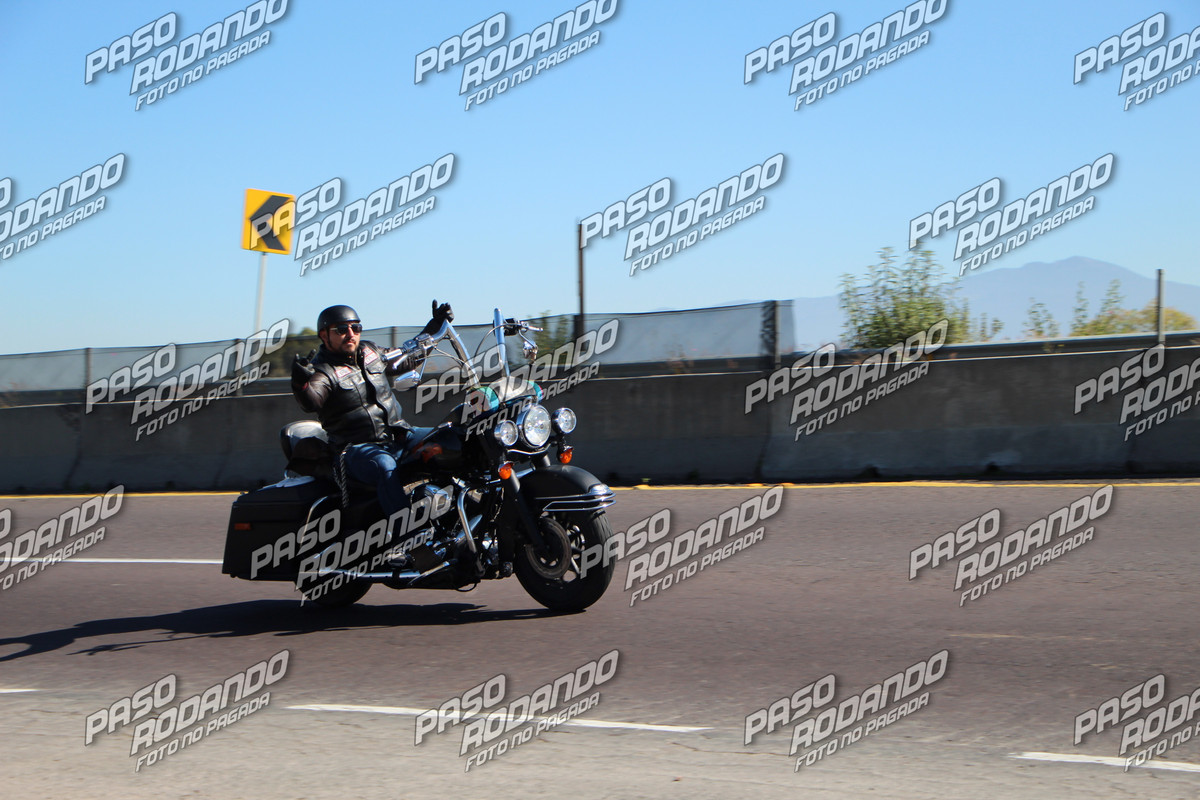 IMG 2761 wm 8503989 100000001 watermarked — Postimages