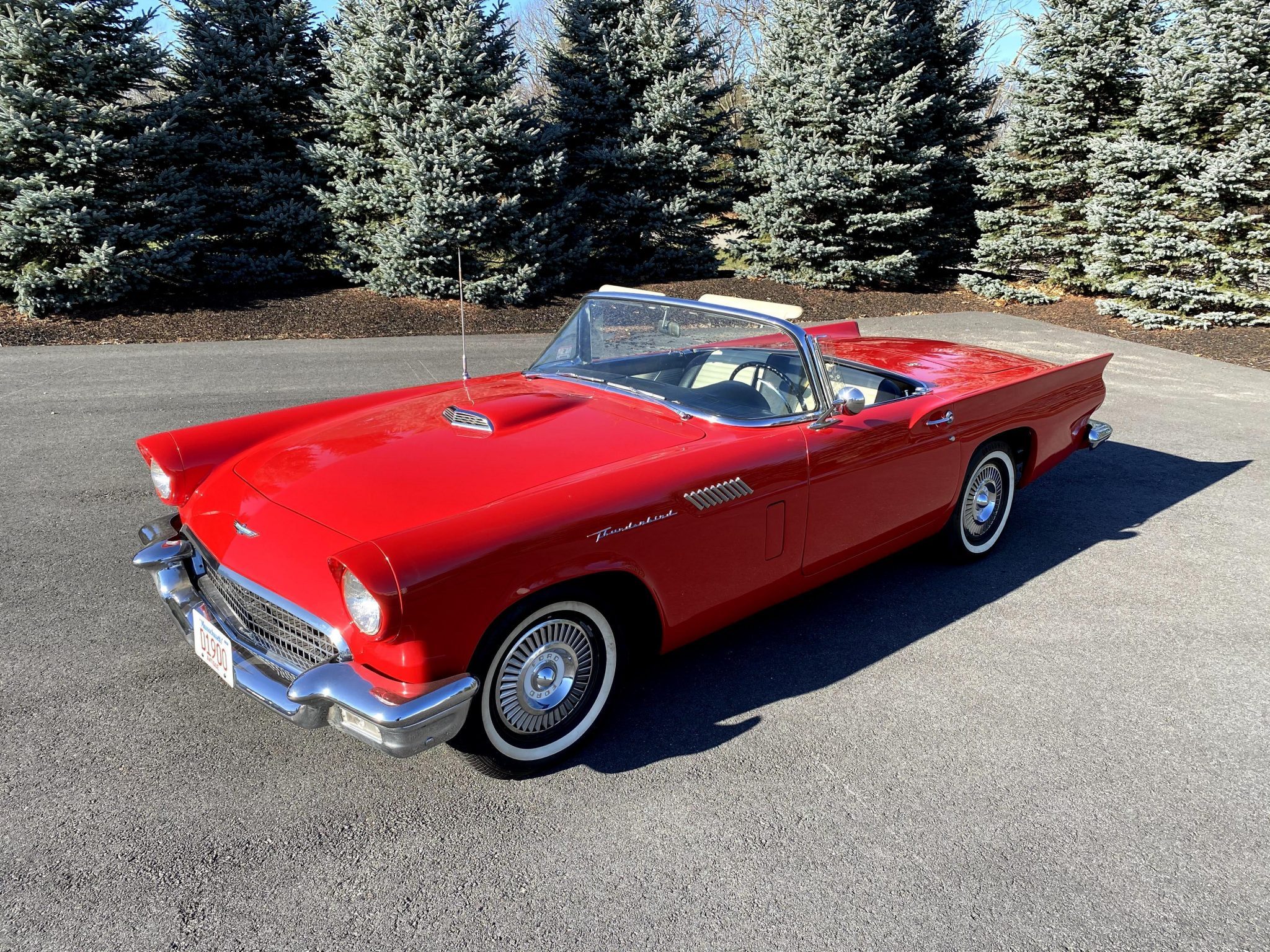 0 57 t bird 1 — Postimages