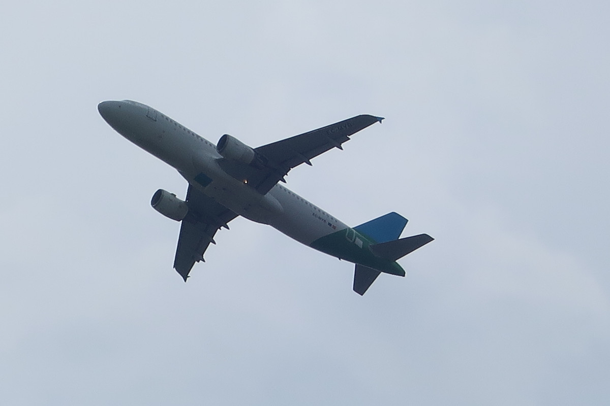 IMG 3390 — Postimages