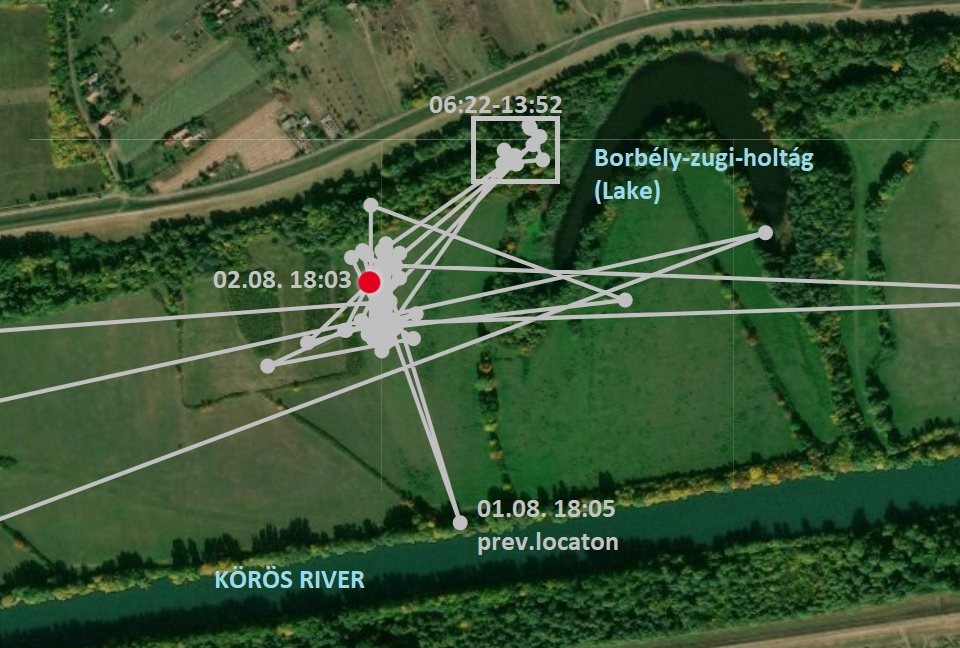Black Stork Tracks - Page 461 - Looduskalender