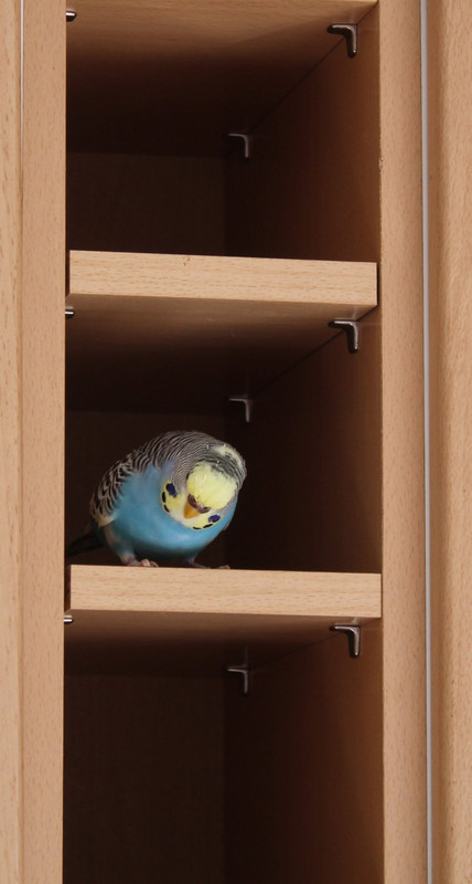 20230710093404 img 0377 — Postimages