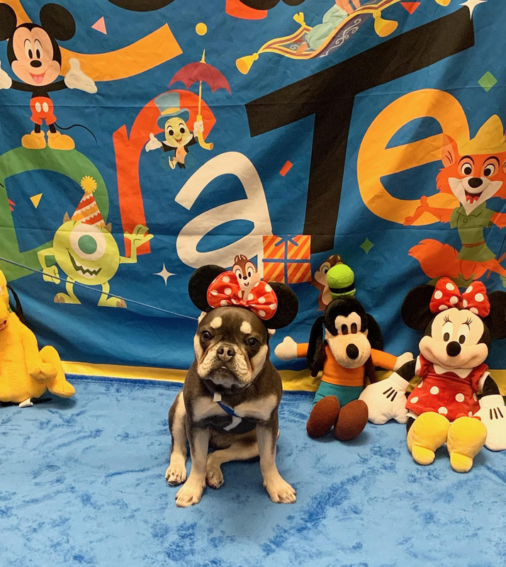 3kc3fiqdyu4b1 cccc — Postimages