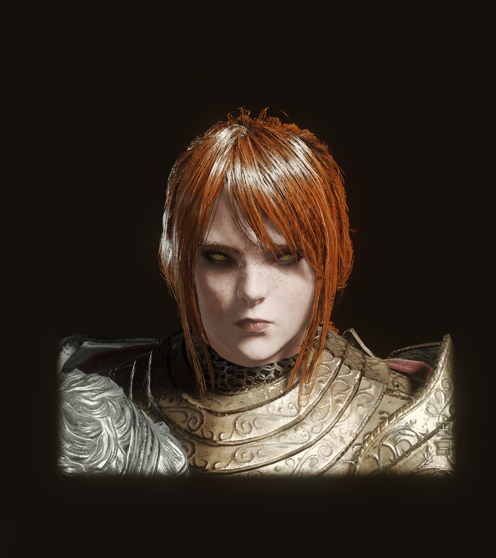 Convergence Character Presets at Elden Ring Nexus - Mods and Community