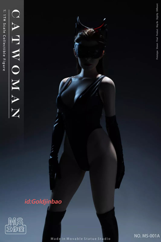 MS Studio: The Dark Knight Rises - Catwoman (Anne Hathaway) - 1/1 Articulated Figure | Collector ...