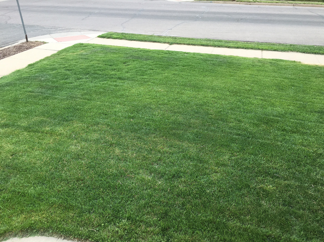 IMG 0237 — Postimages