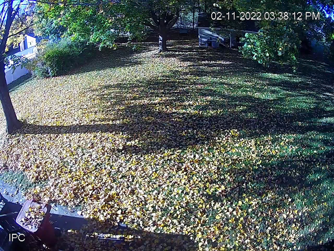 Backyard IPC main 20221102153733 2 — Postimages