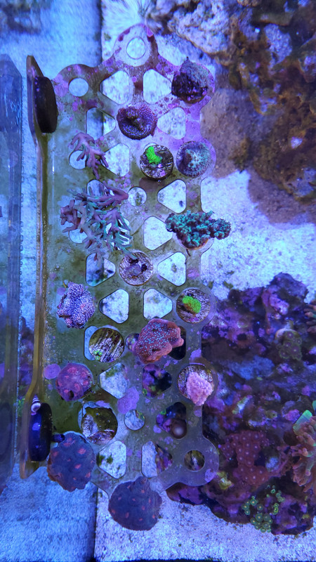 20220708 101322 — Postimages