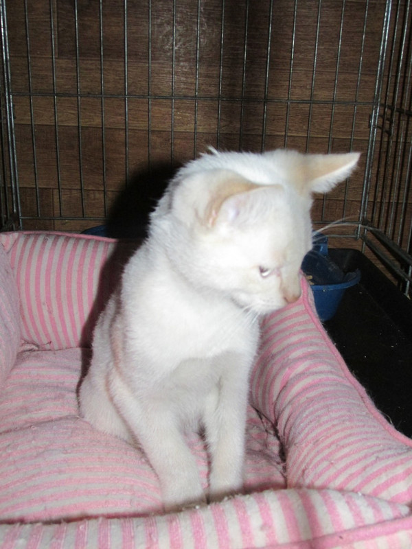 IMG 3102 — Postimages