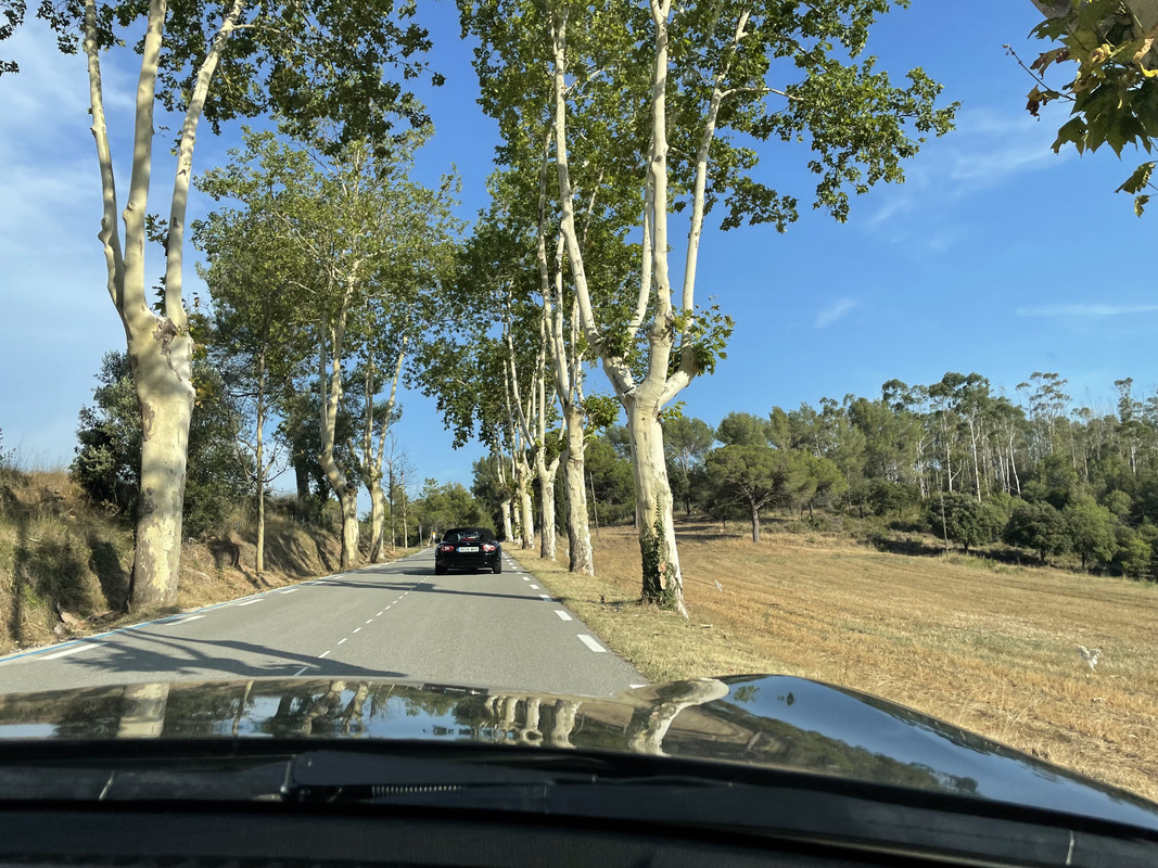 IMG 3396 — Postimages