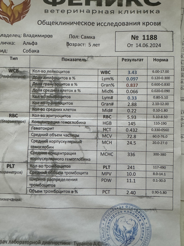 IMG 1808 — Postimages