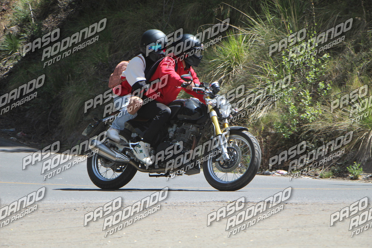 IMG 2103 wm 80310 30000000005 watermarked — Postimages