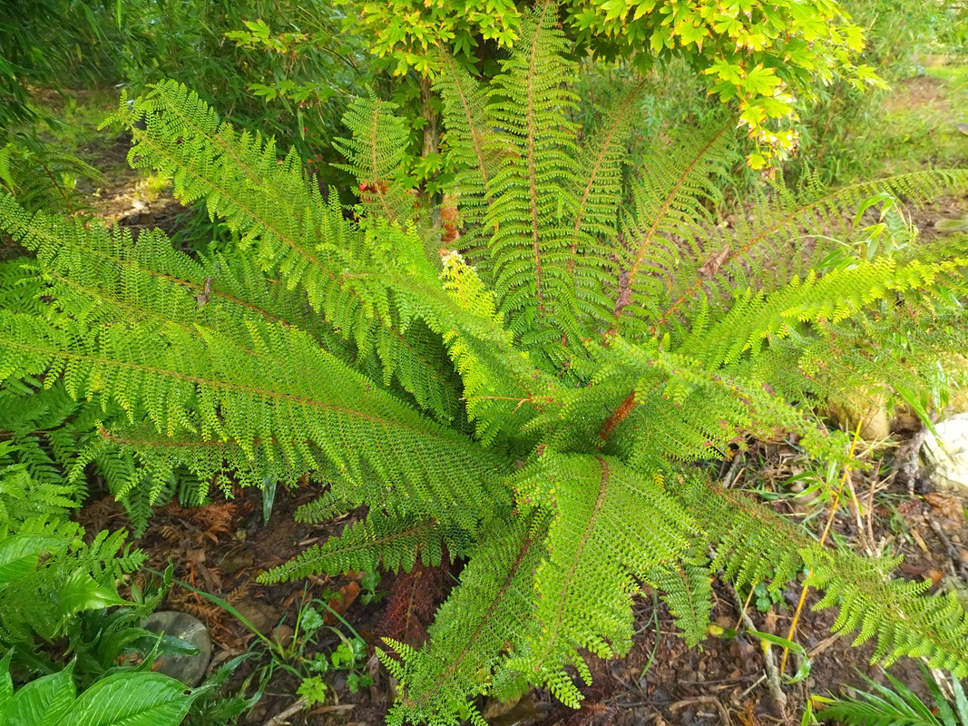 IMG 20230816 085503711 — Postimages