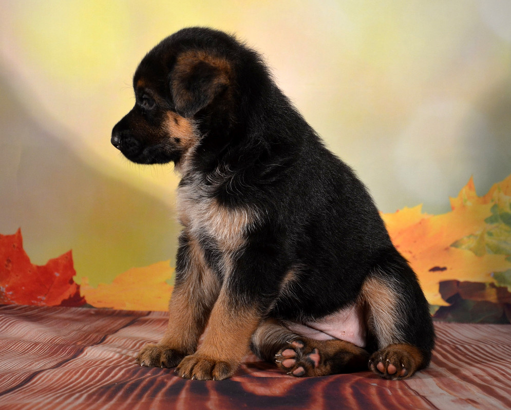 DSC 1076 — Postimages