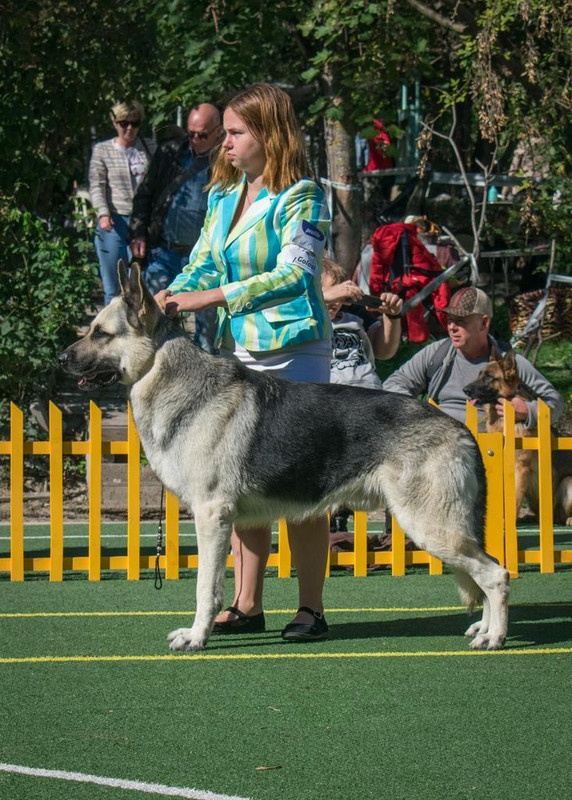 20181006 DSC 0586 — Postimages