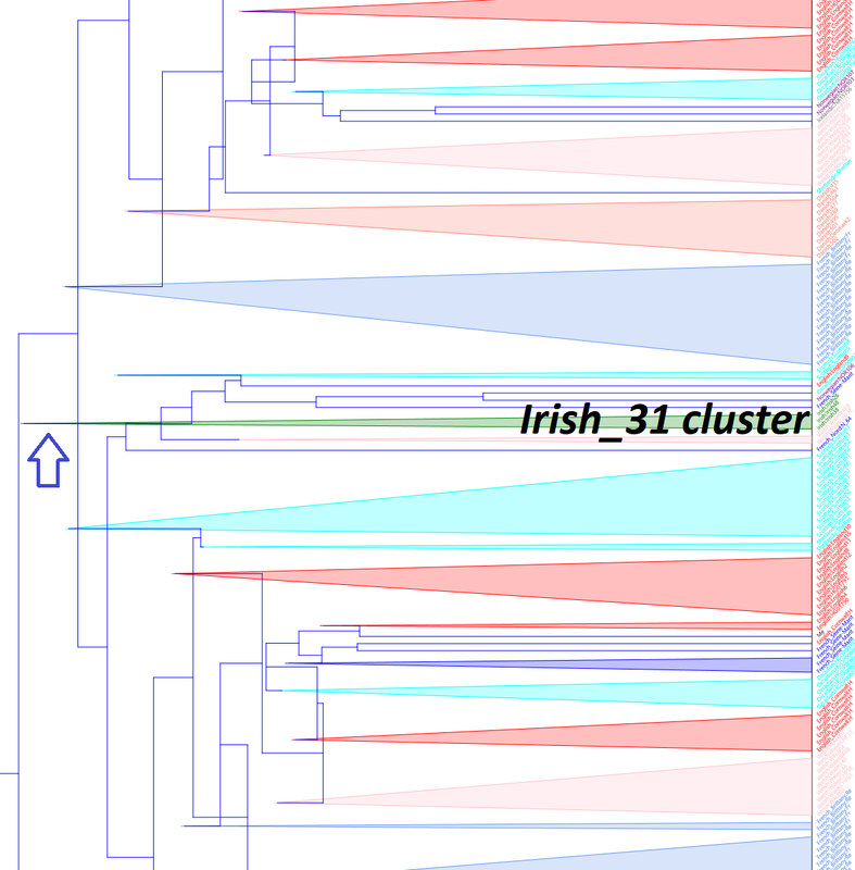 Irish 31 cluster — Postimages