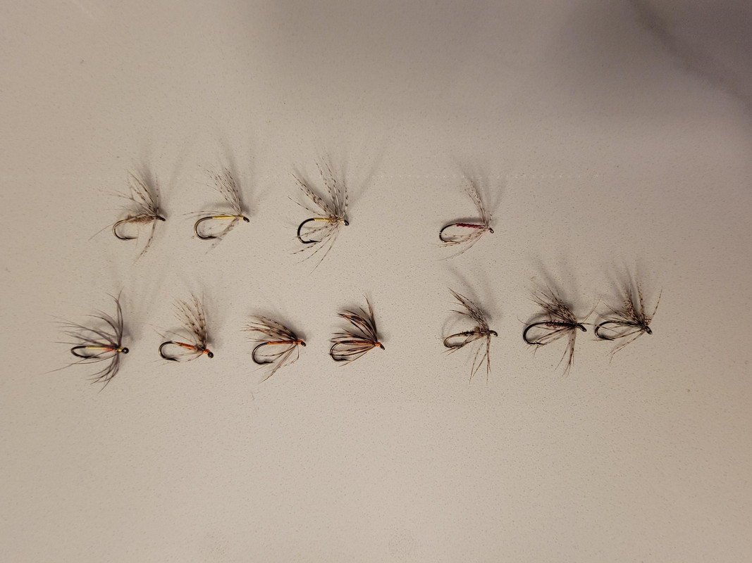 sm flies 1 — Postimages