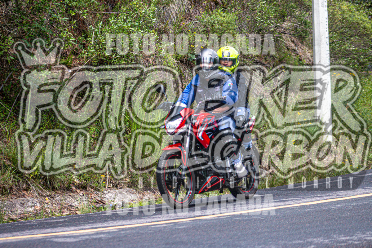 C1P1 101 — Postimages