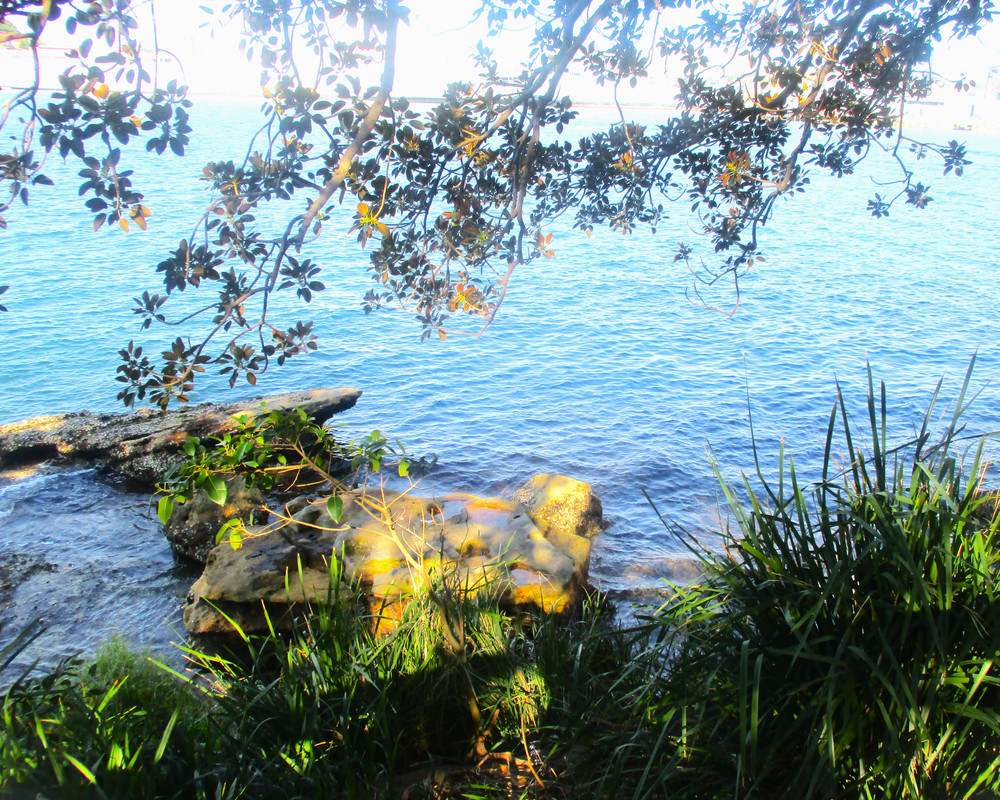 IMG 0466 — Postimages