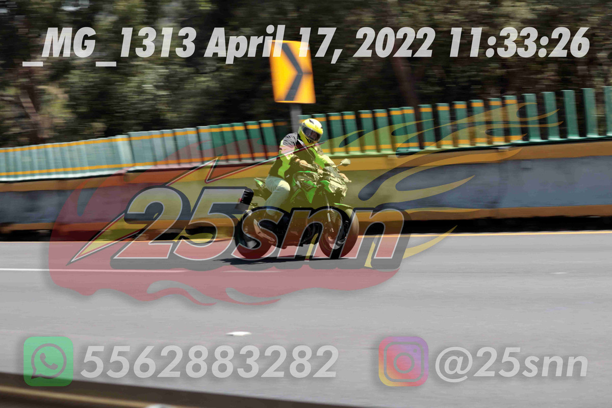 MG 1313 — Postimages