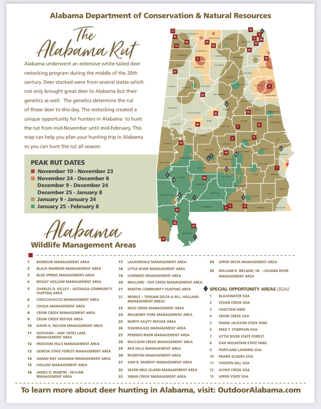 IMG 4210 — Postimages