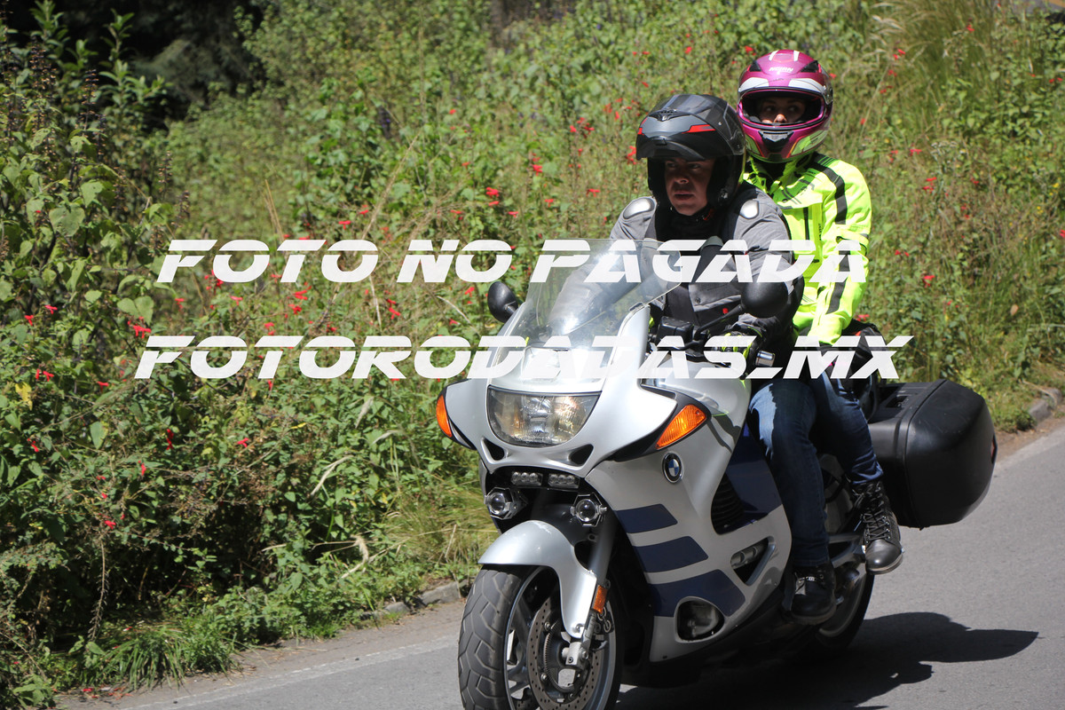 IMG 8159 — Postimages