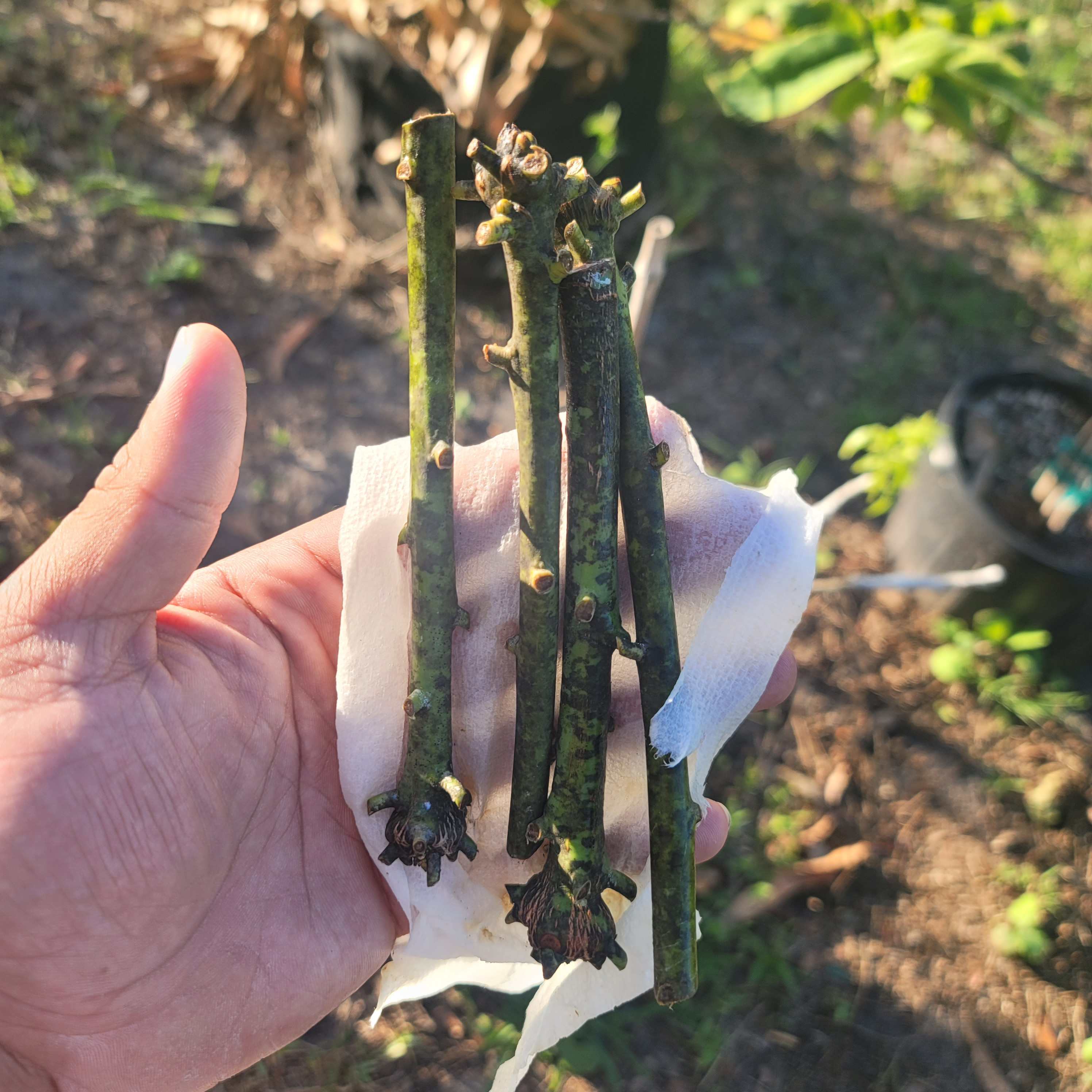 20230418 184339 — Postimages