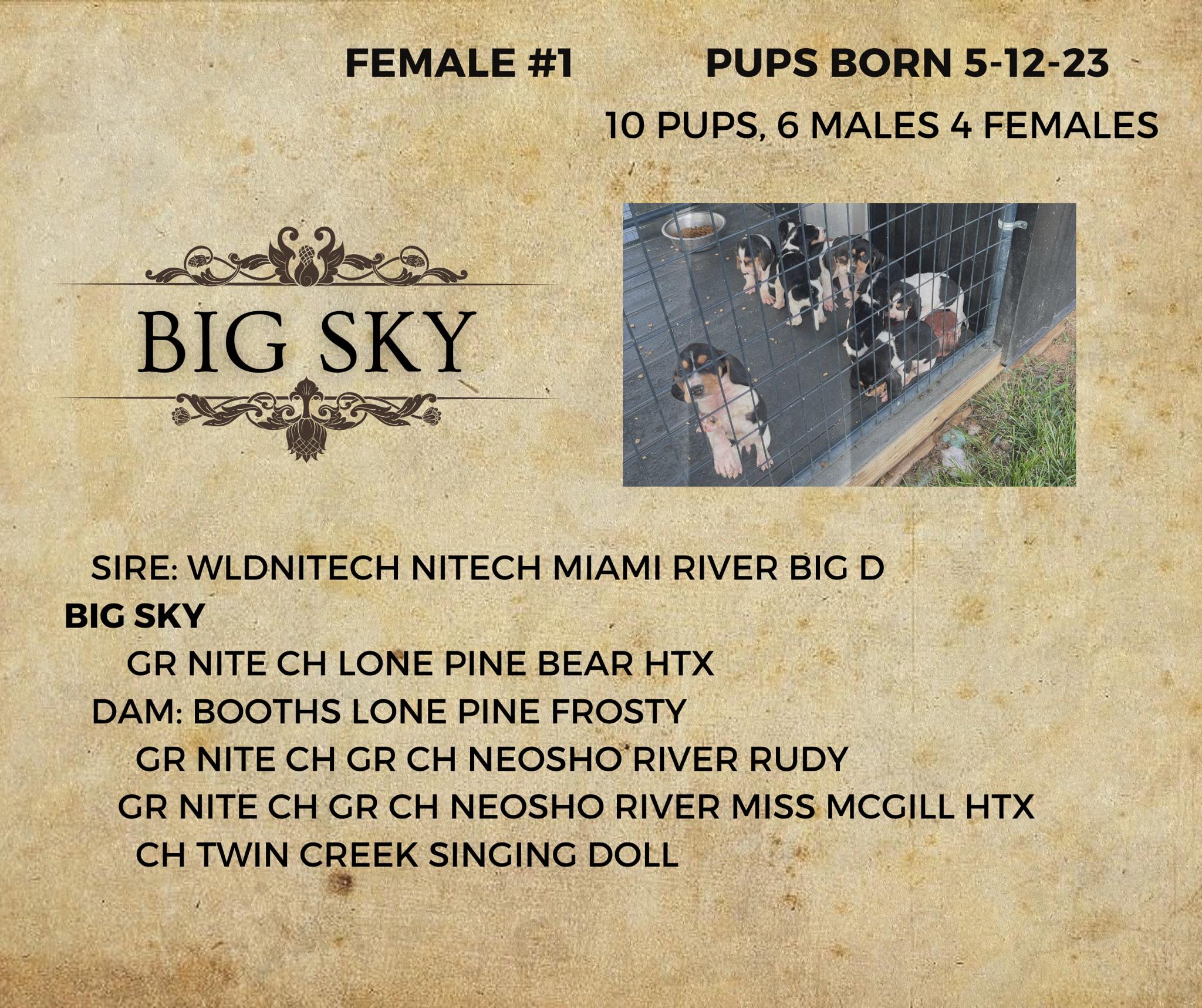 Big Sky — Postimages